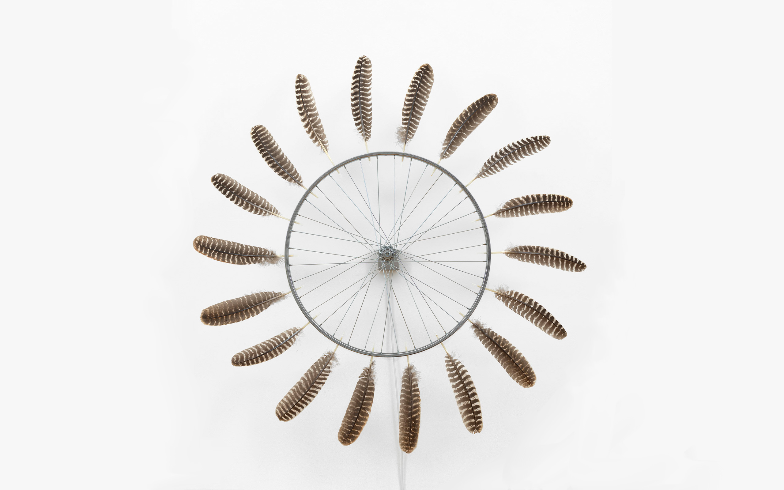 Paola Pivi - Rock the art - Paradisoterrestre Exhibitions Bologna ...